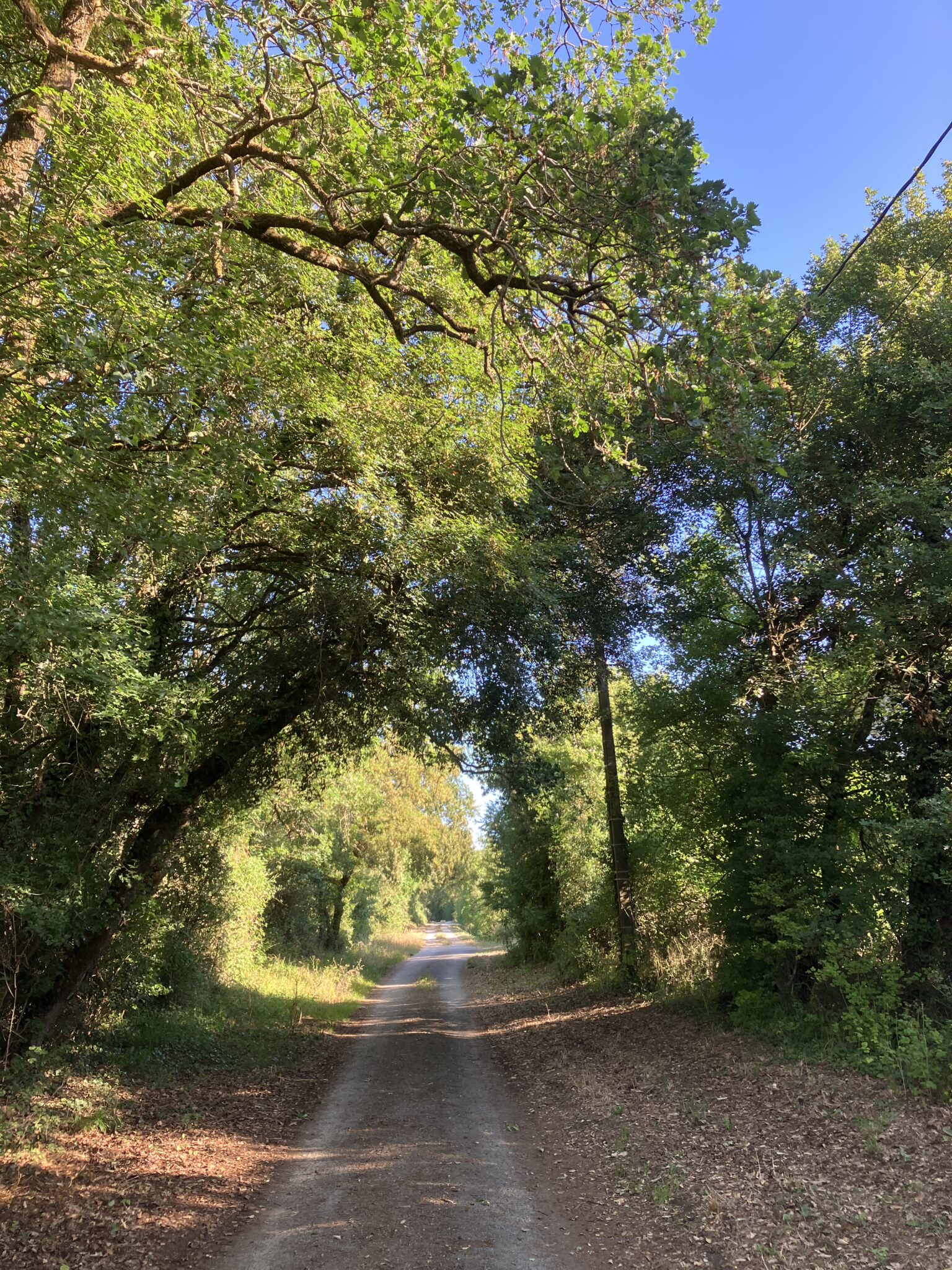 Tourisme – Thairé